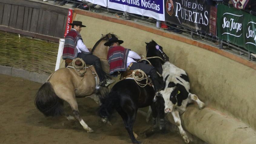 El rodeo cada vez más cerca de convertirse en deporte nacional